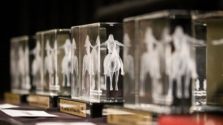 awards — Muncie Journal